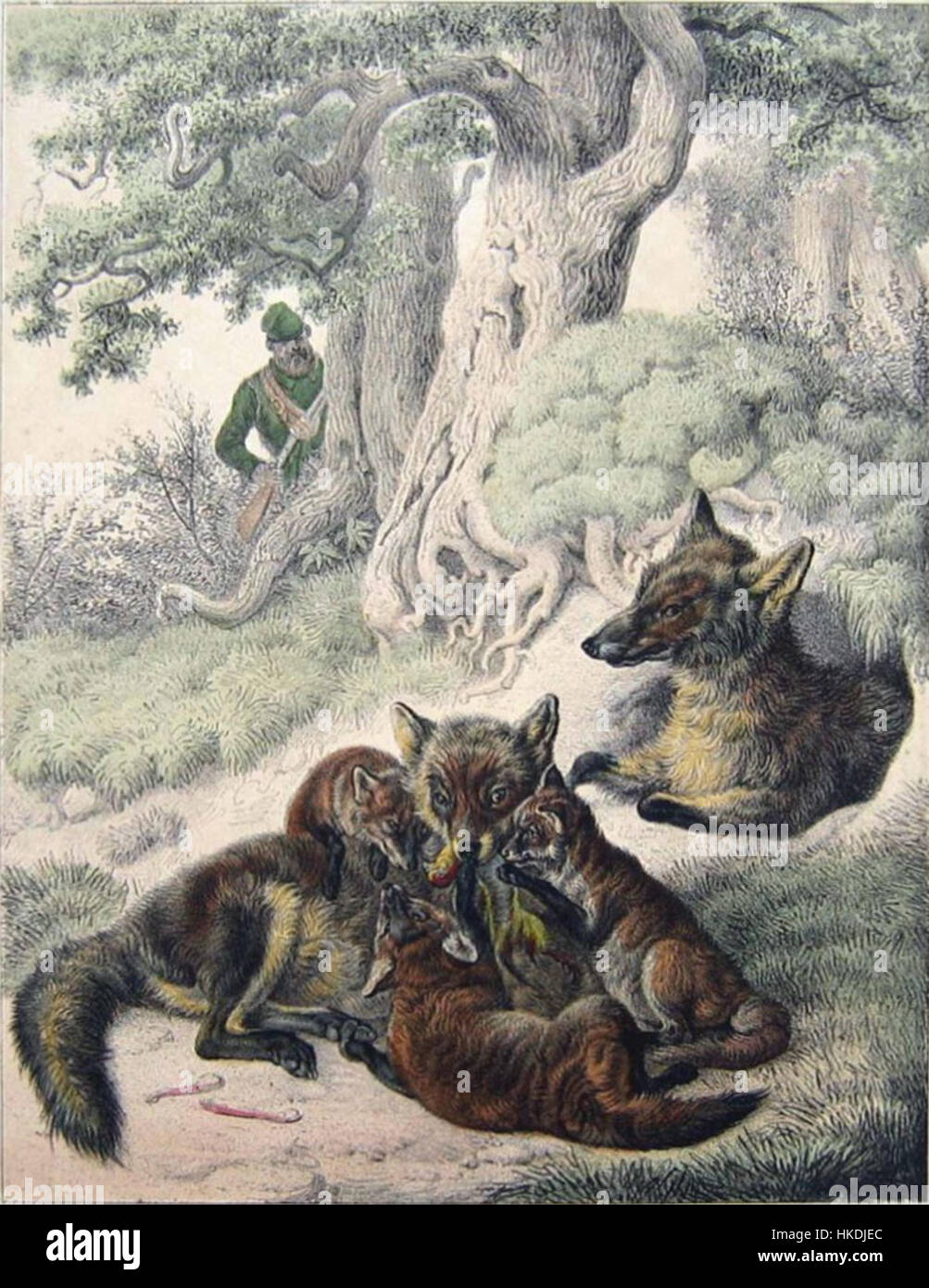 This painting by Gustav Jacob Canton, titled 'Pred vlcim doupetem ...