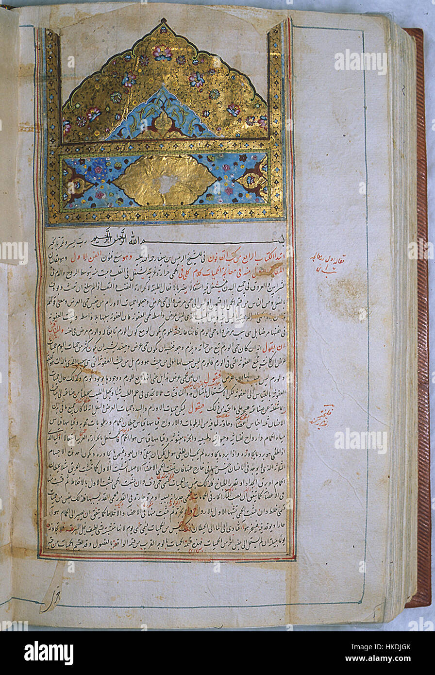 The *Islamic MedText* from circa 1500 is an illuminated manuscript that ...