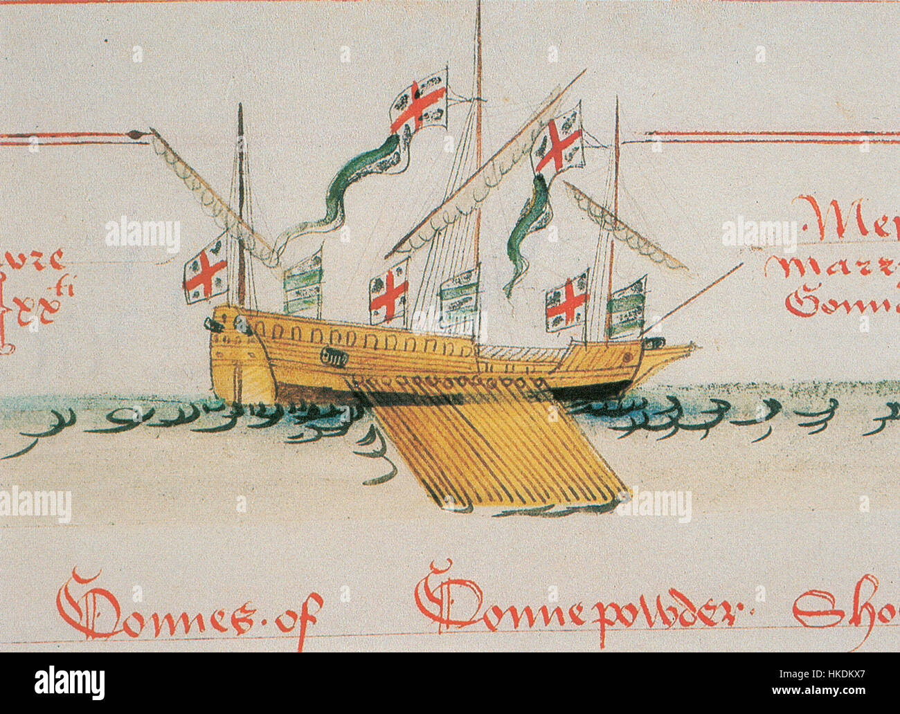 The painting 'AnthonyRoll 57 Gillyflower' showcases the Gillyflower, a ...