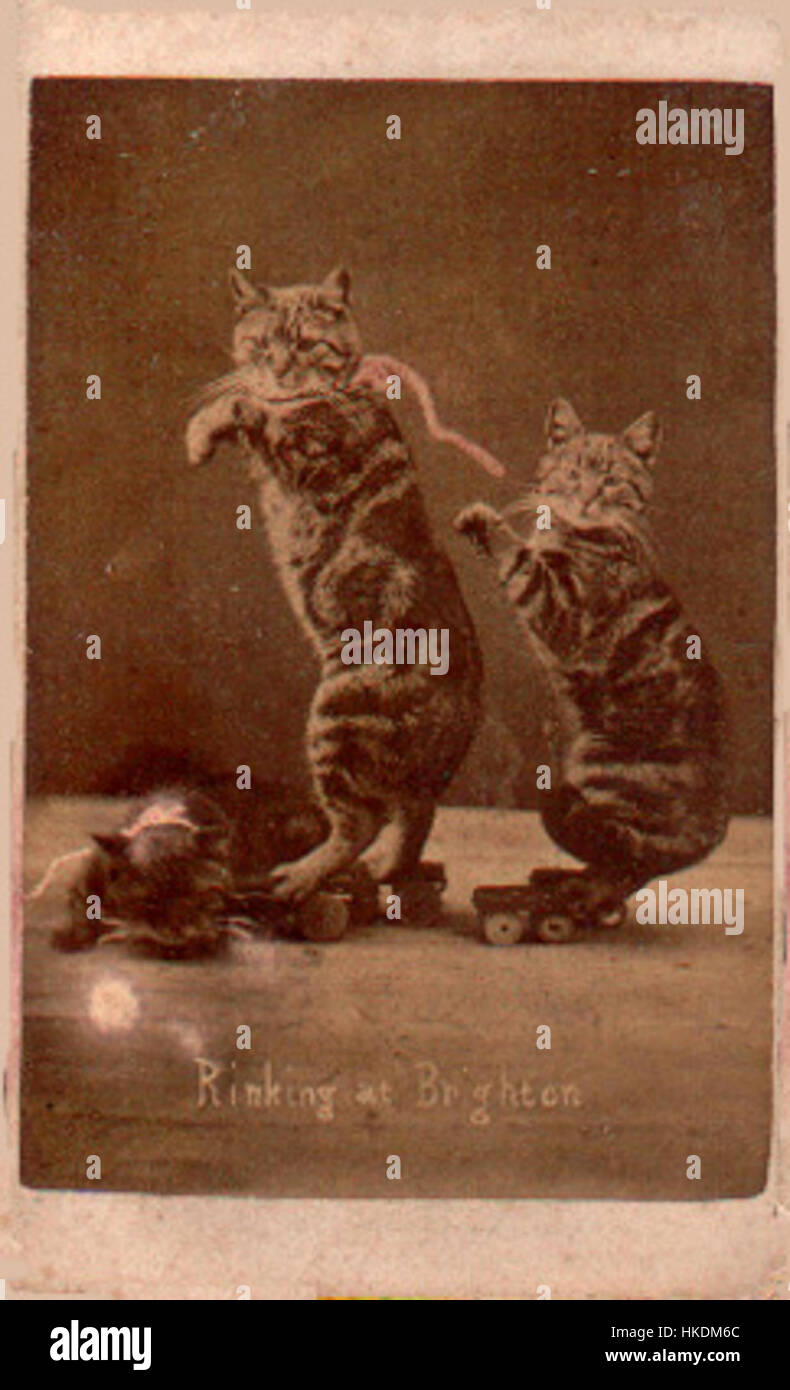 'BTNPointerCatRinking' is an artwork featuring a cat depicted in a ...