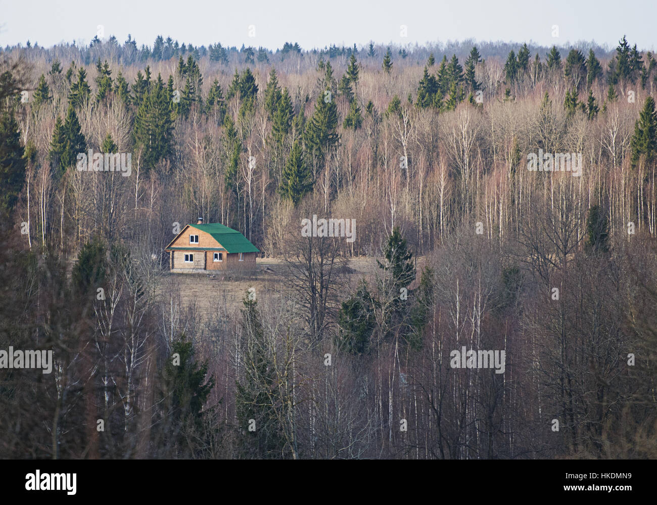 Green roof house grass hi-res stock photography and images - Alamy