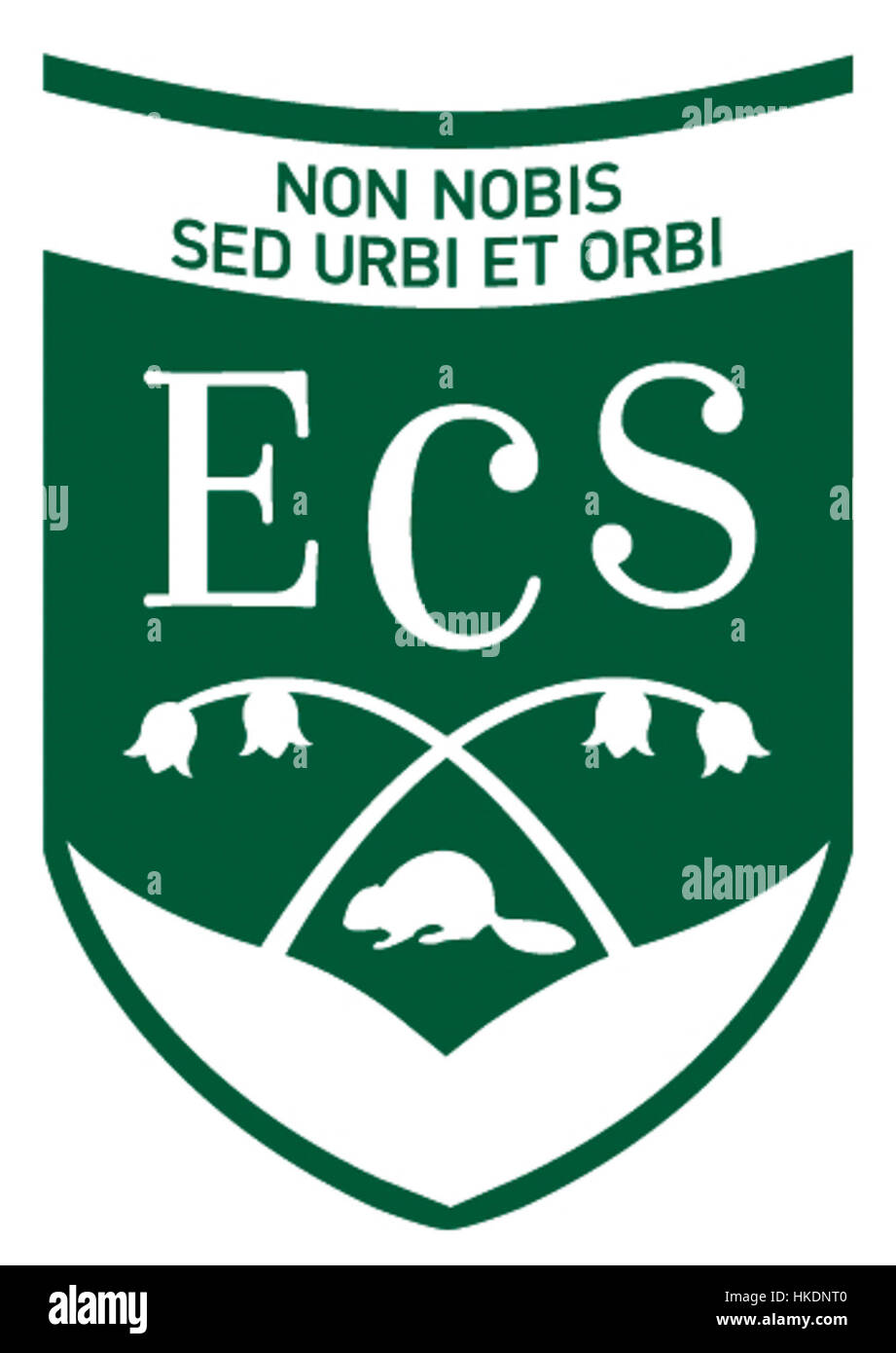 The ECS logo represents a modern design in corporate branding. The ...