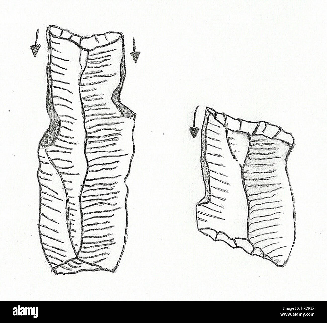 German visual art Cut Out Stock Images & Pictures - Alamy