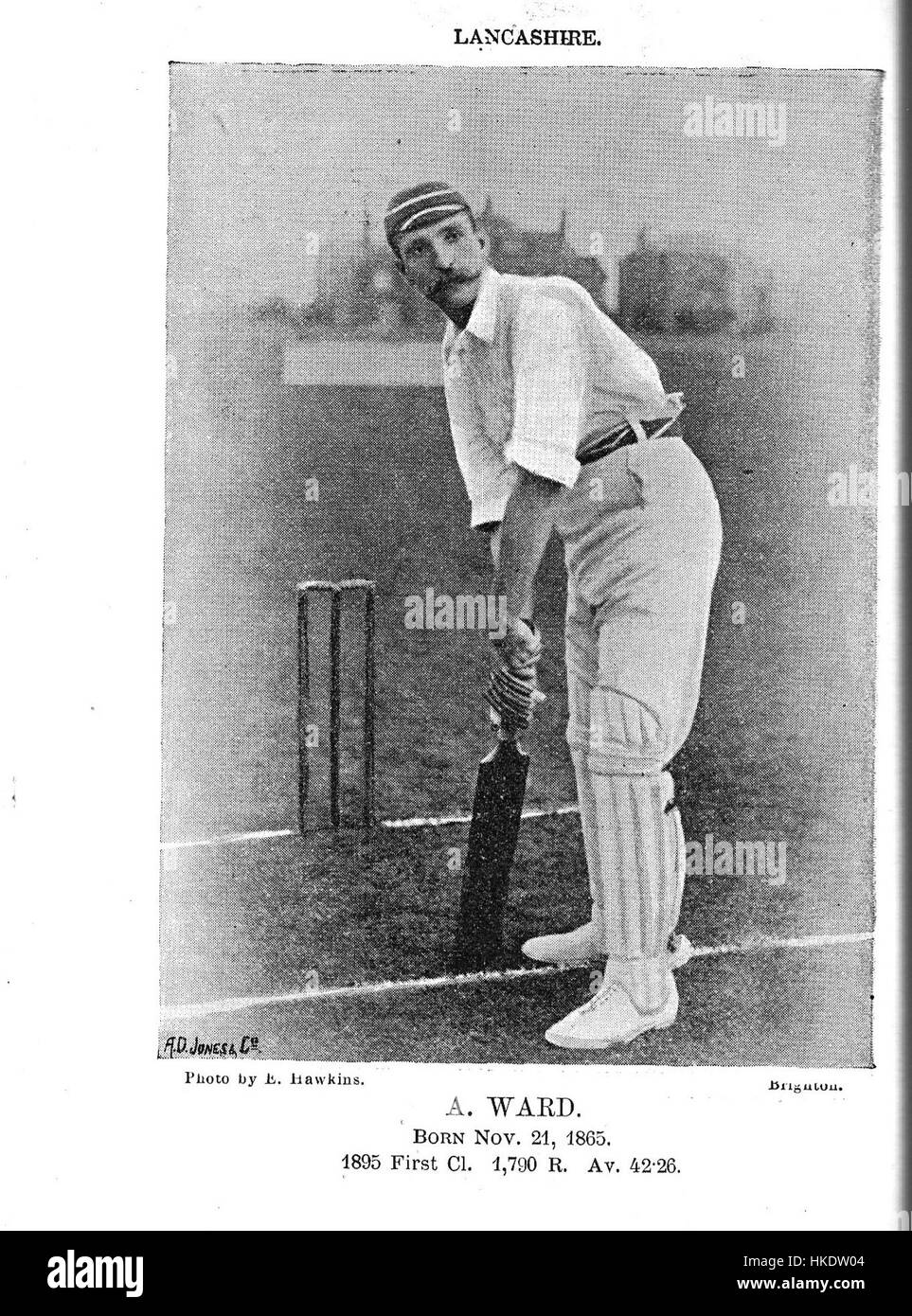 Albert ward hi-res stock photography and images - Alamy