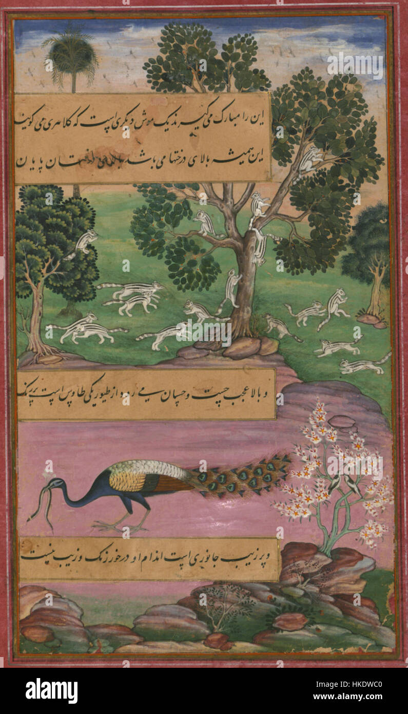 The 'Baburnama' manuscript, a historical account by Emperor Babur ...