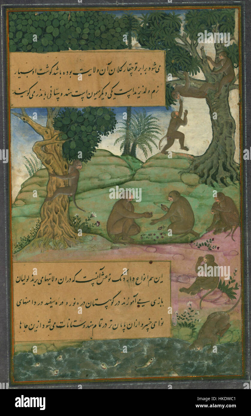 This image from the *Baburnama* illustrates the monkeys, called bandar ...