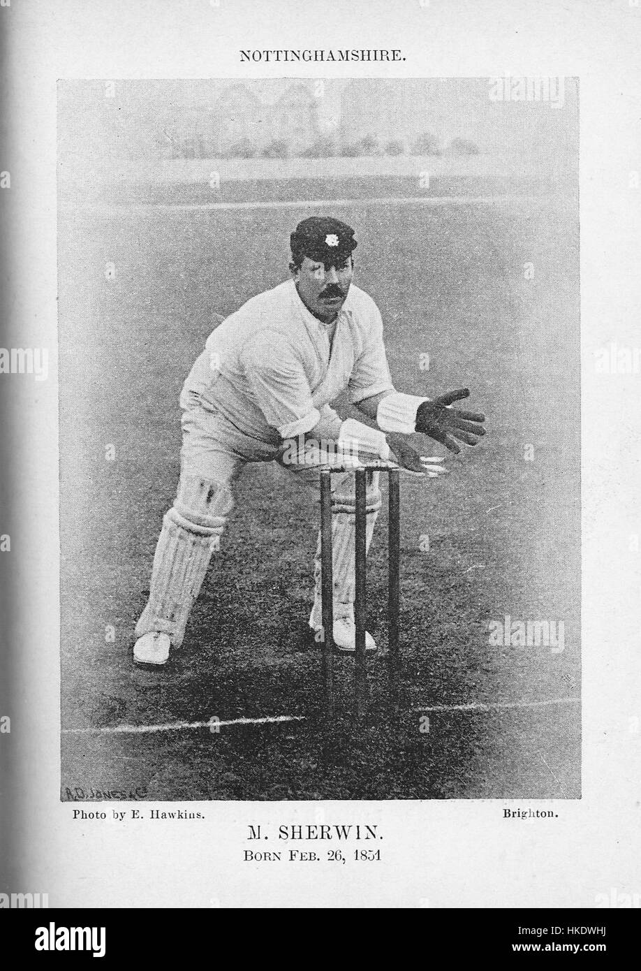 Mordecai Sherwin was an artist known for his oil paintings and sketches ...