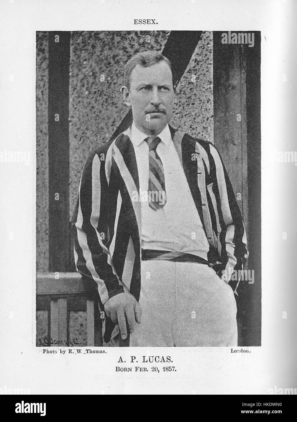 A 19th-century landscape painting by A.P. Lucas, showcasing a serene ...