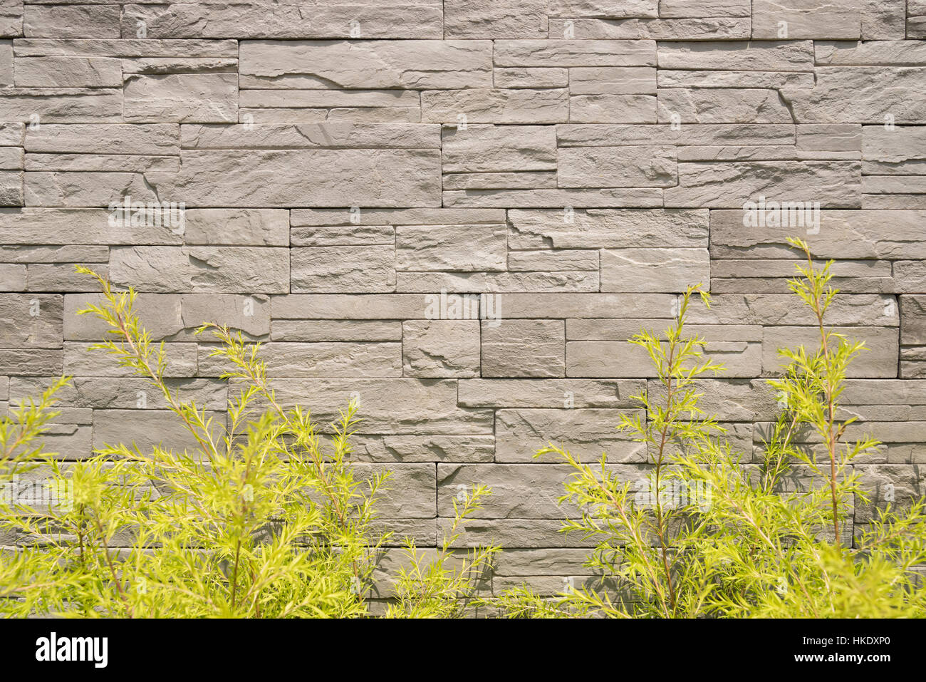 Pattern of decorative slate stone wall texture and background Stock ...