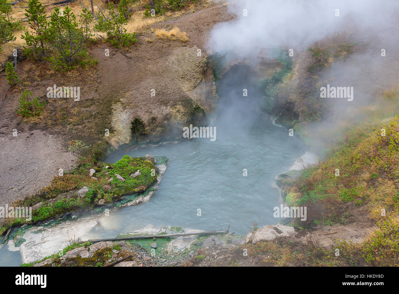 Dragon's Breath hot spring Yellowstone National Park Stock Photo - Alamy