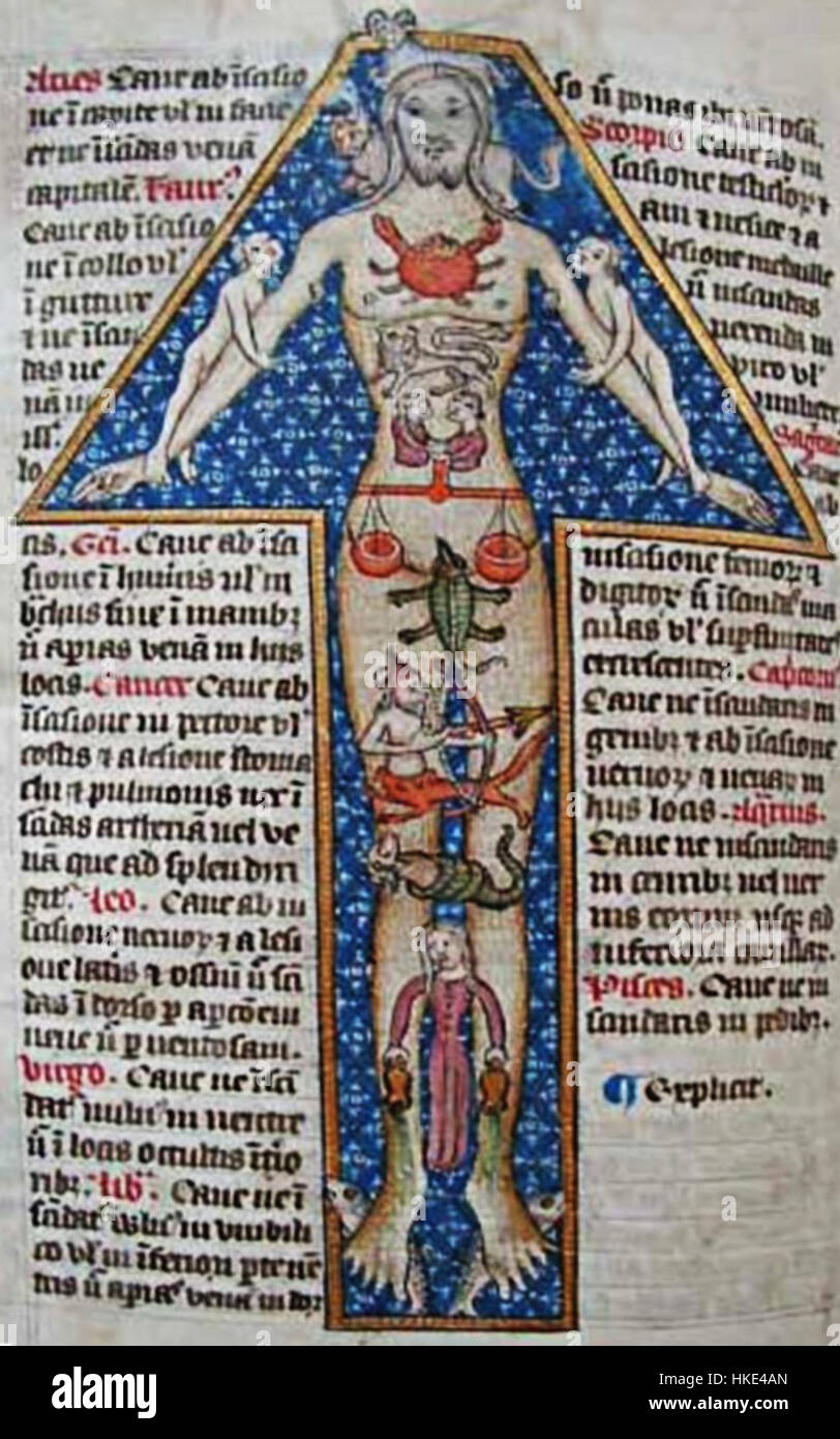 The ‘Homo signorum MS K26’ is a manuscript detailing the human symbols ...