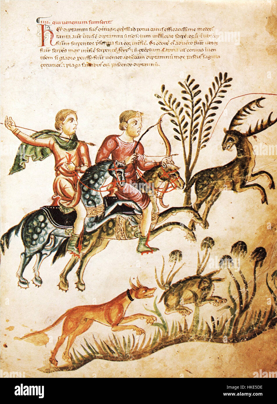 A depiction of an ancient hunting scene from 'Medicina Antiqua ...