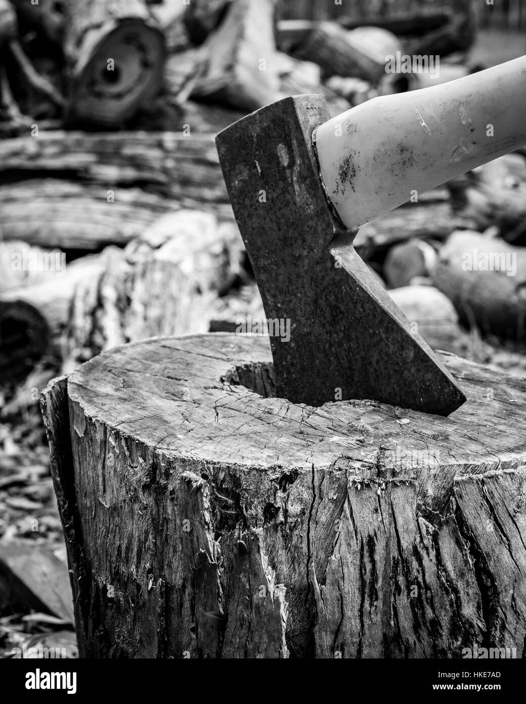 Log head Black and White Stock Photos & Images - Alamy