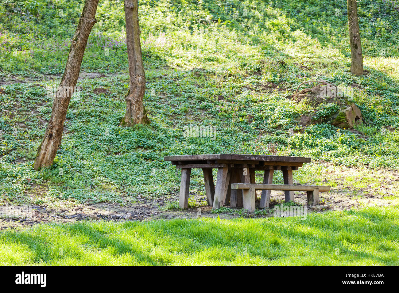 wooden bench and table for picnic in the park, note shallow depth of ...