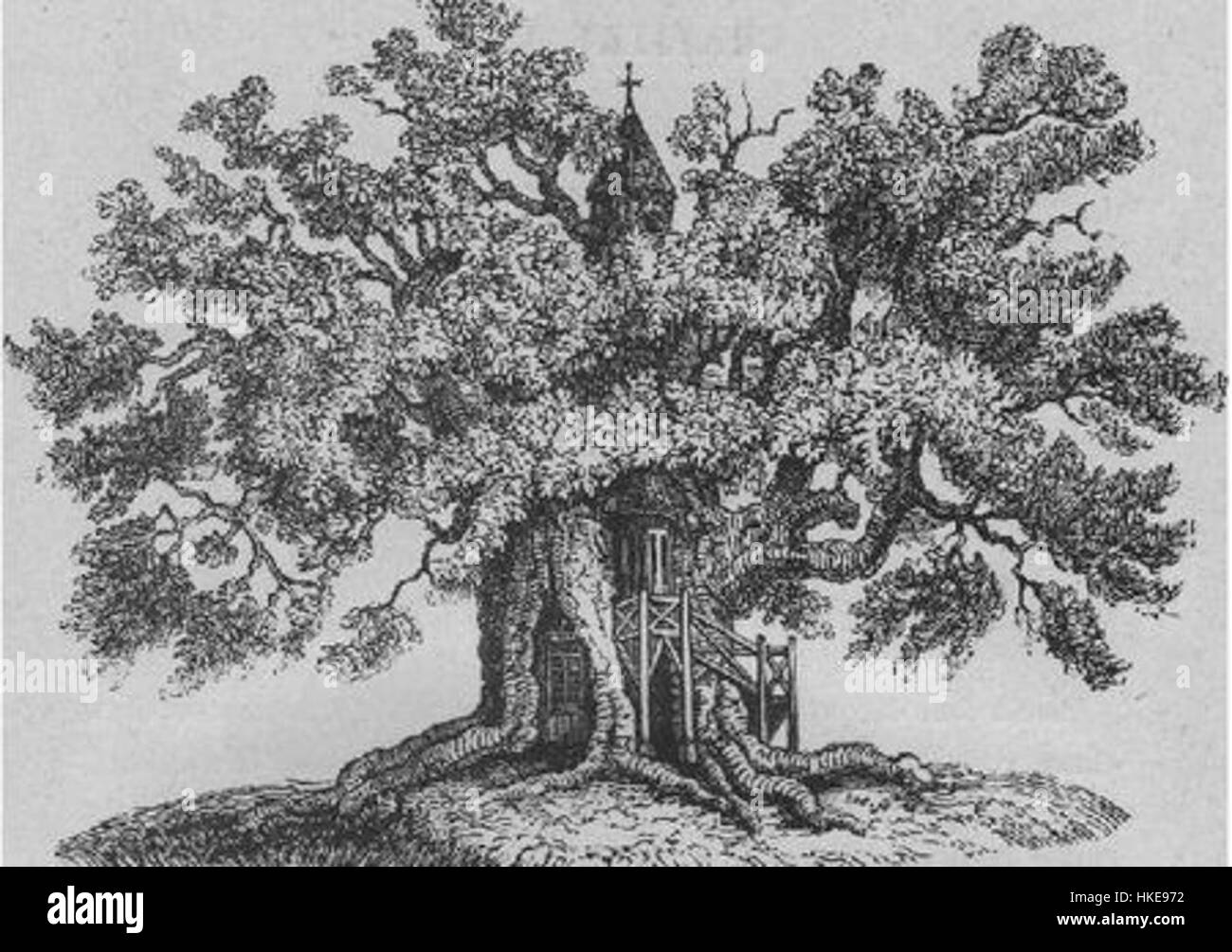 *The Oak Tree of Allouville*, painted by Langlois, depicts the famous ...