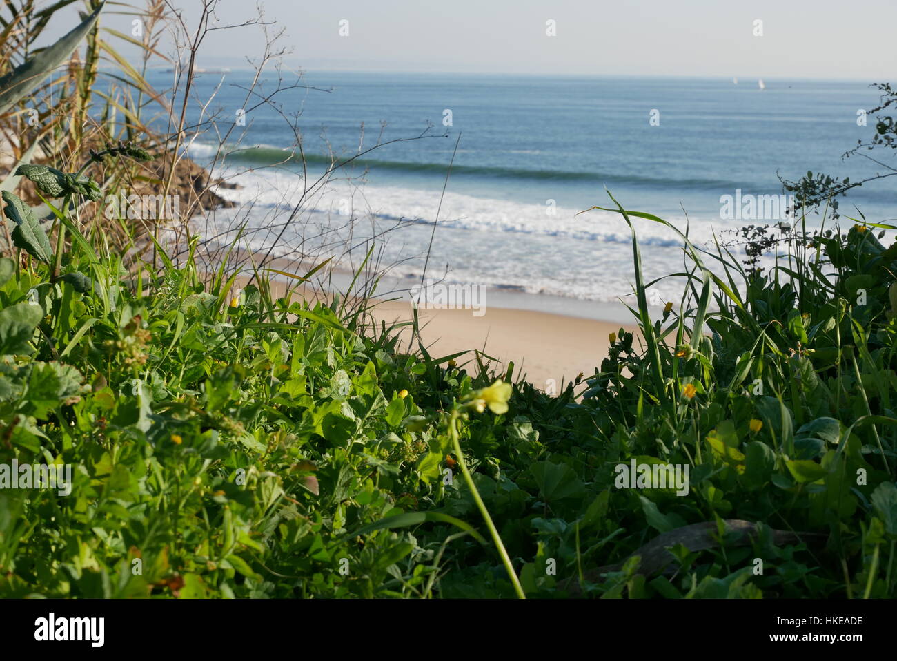 A beach view Stock Photo - Alamy