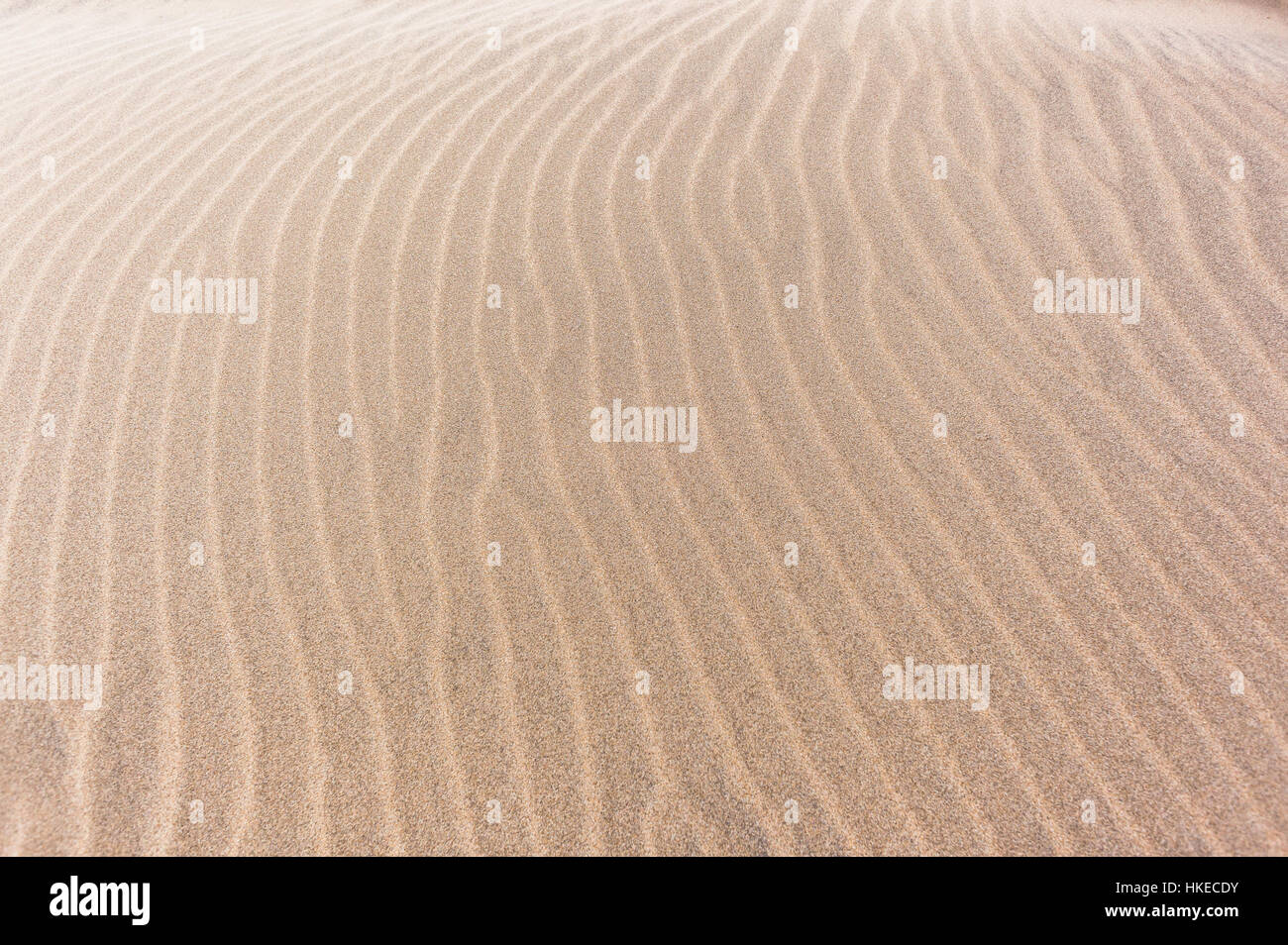 Beach ocean sands closeup detail of winds shapes and textures in ...