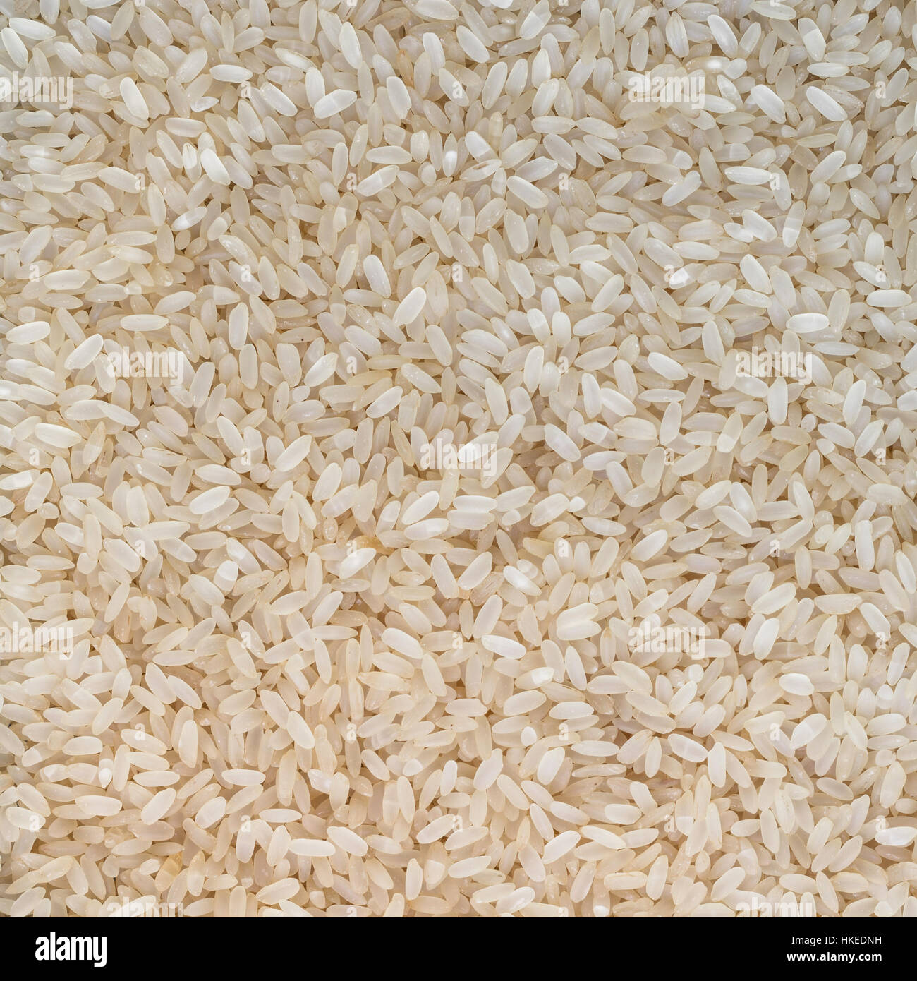 White rice background, uncooked raw cereals, macro closeup. Top view ...