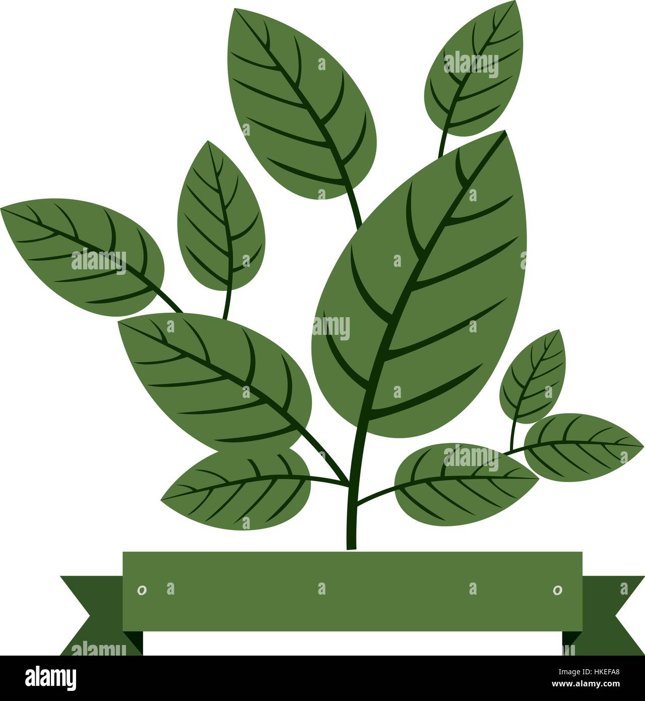 Natural leaves Ecology icon vector illustration graphic design Stock ...