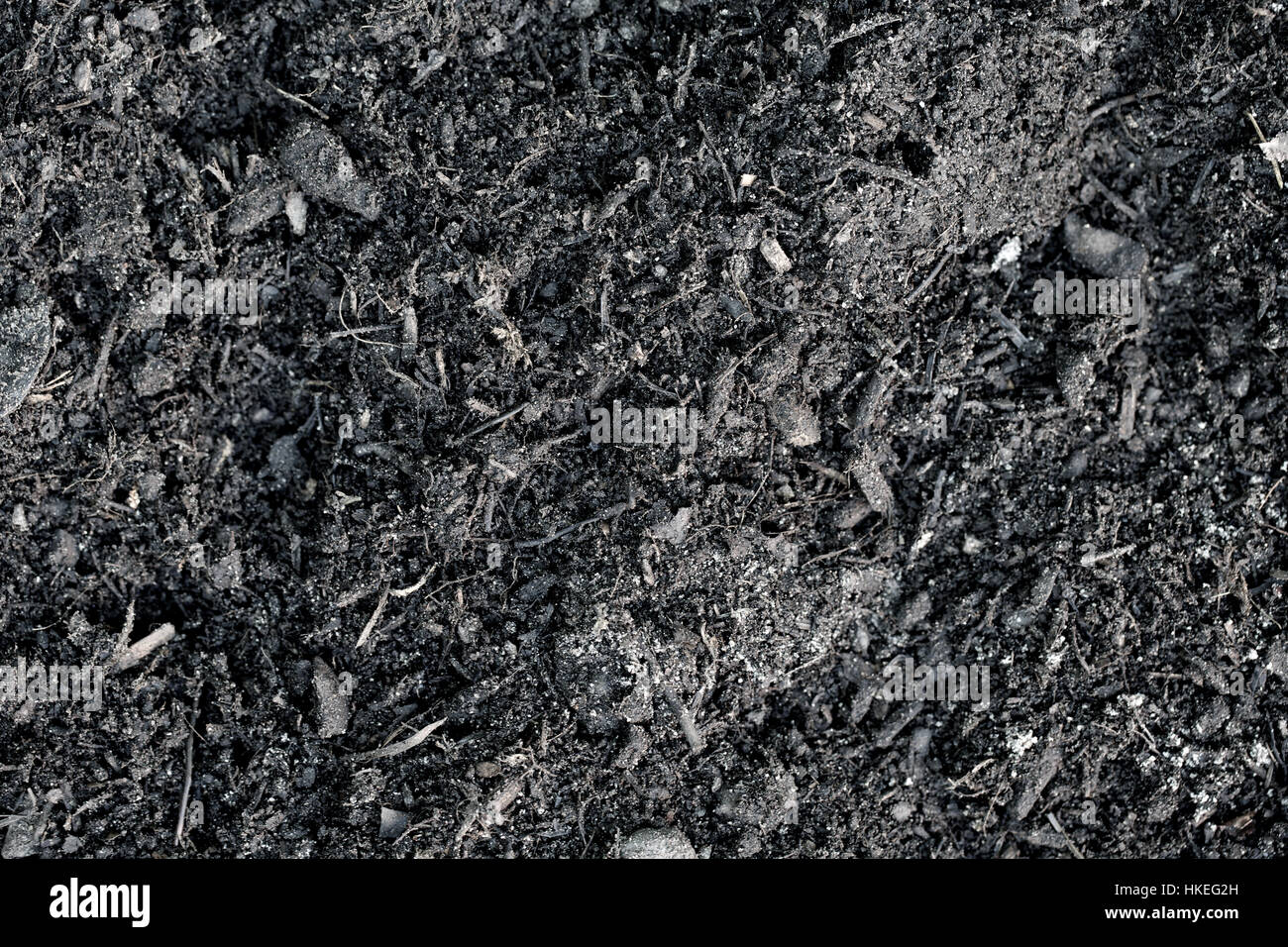 soil background. mud, organic, forest floor, ground Stock Photo - Alamy