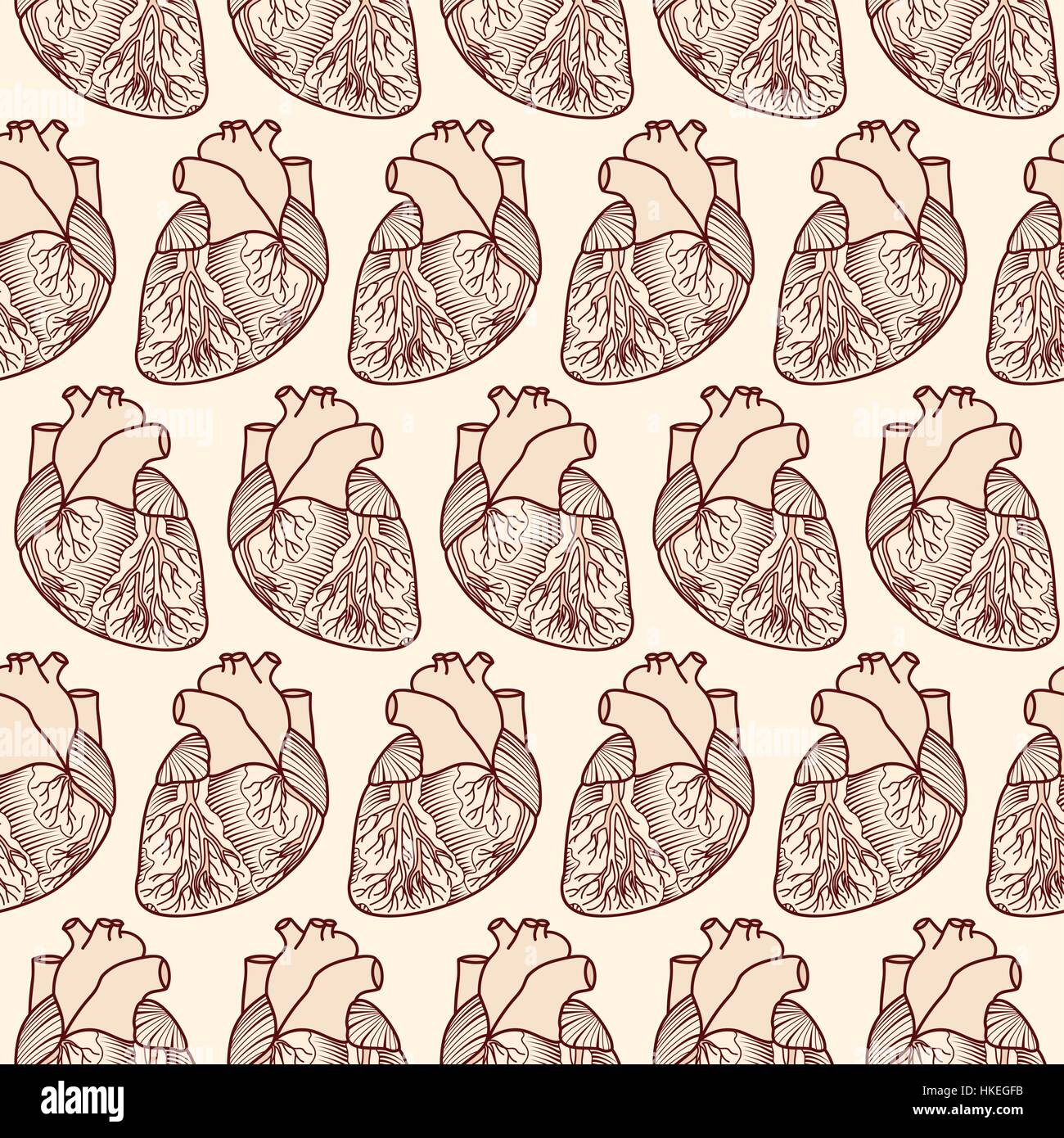 Seamless pattern made of anatomic hearts on beige background Stock ...