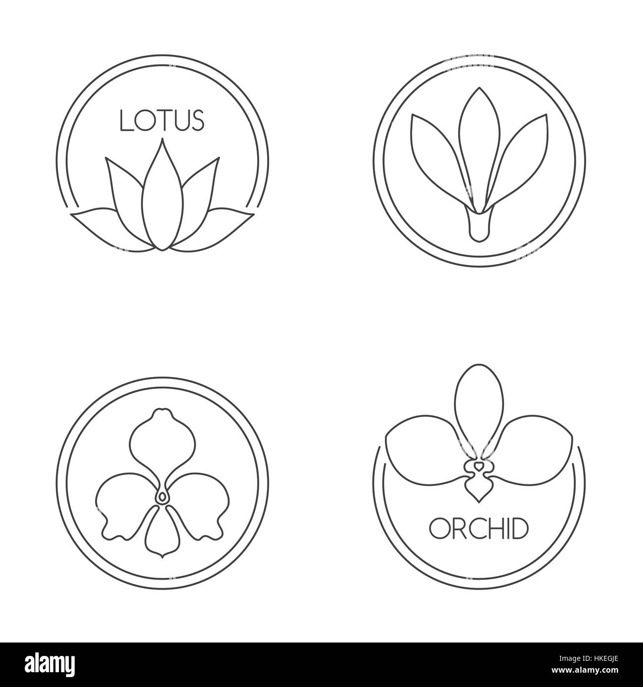 Magnolia flower beauty logo Stock Vector Images - Alamy