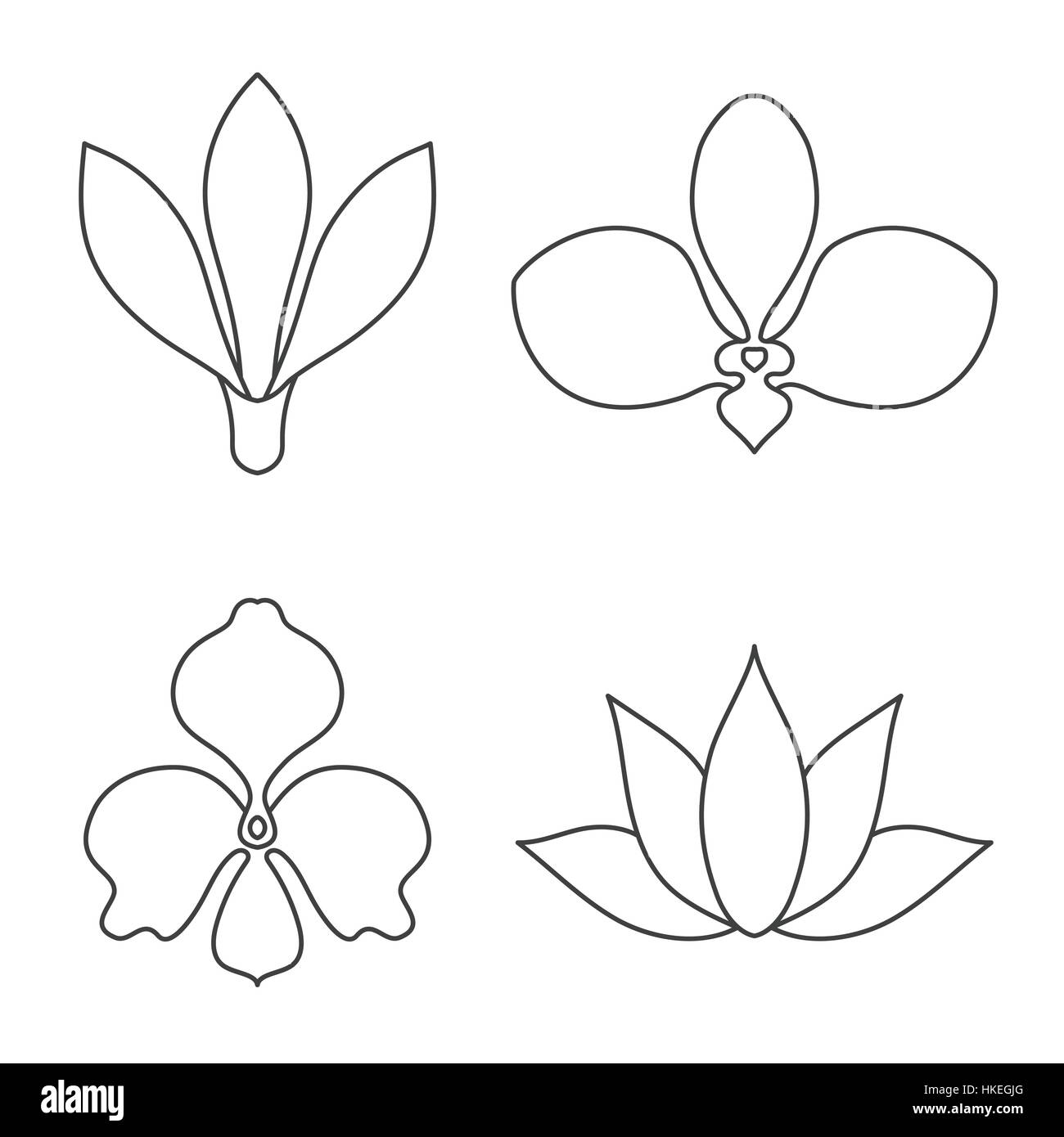 Set of flower line art vector on white background Stock Vector Image ...