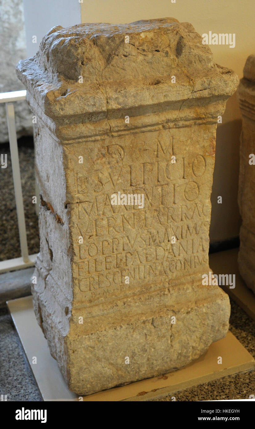 Sulpicius maximus hi-res stock photography and images - Alamy