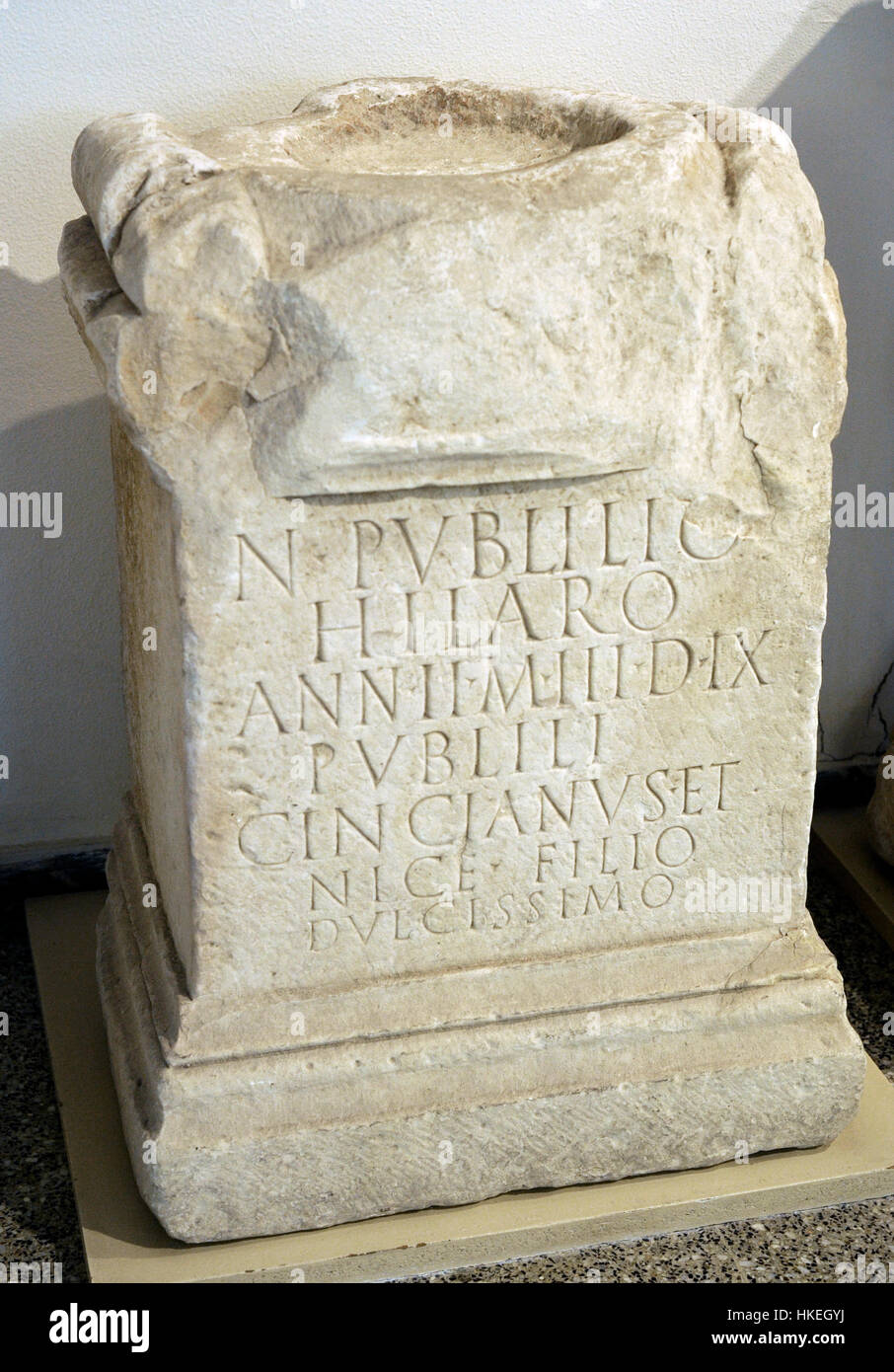 Numerius hi-res stock photography and images - Alamy