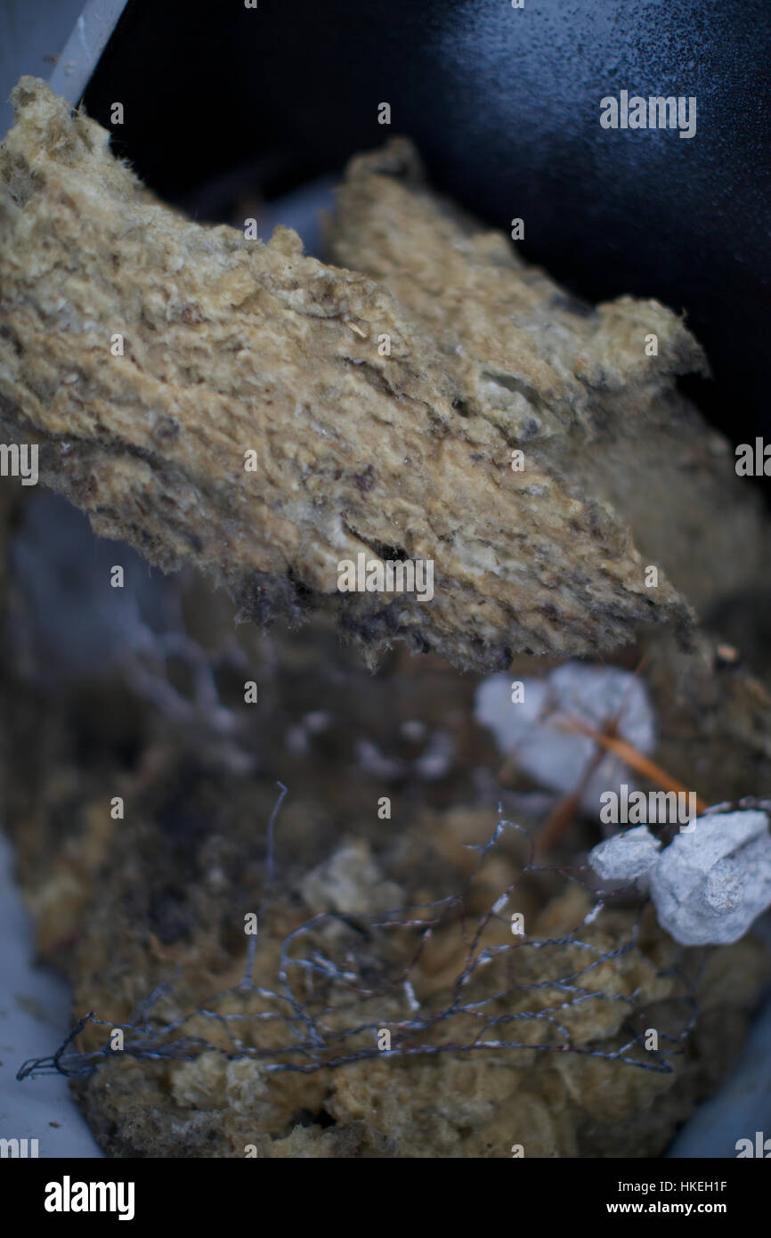 Rockwool hi-res stock photography and images - Alamy