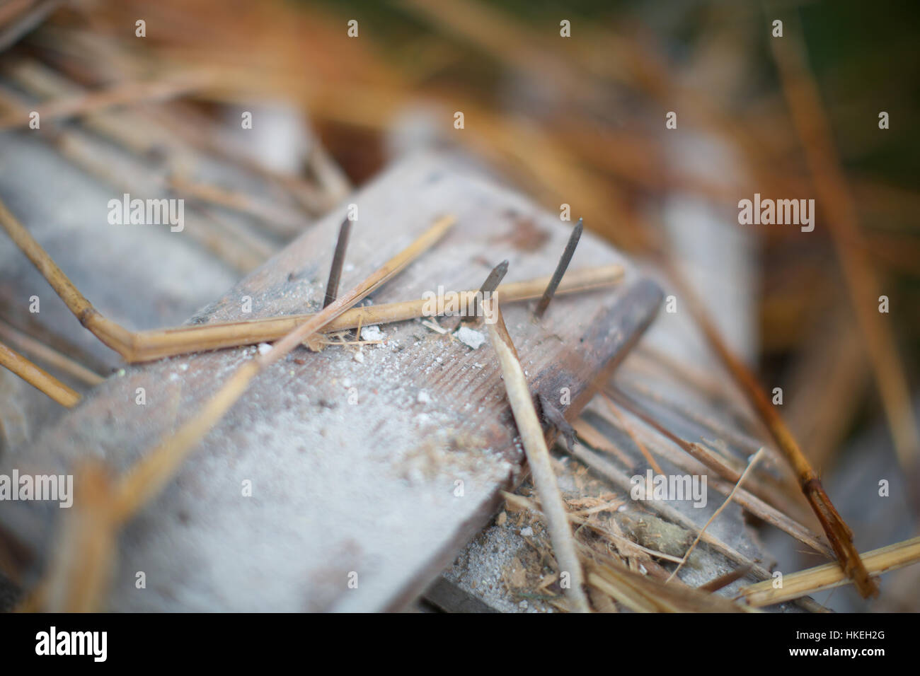 Nail in plank hi-res stock photography and images - Alamy