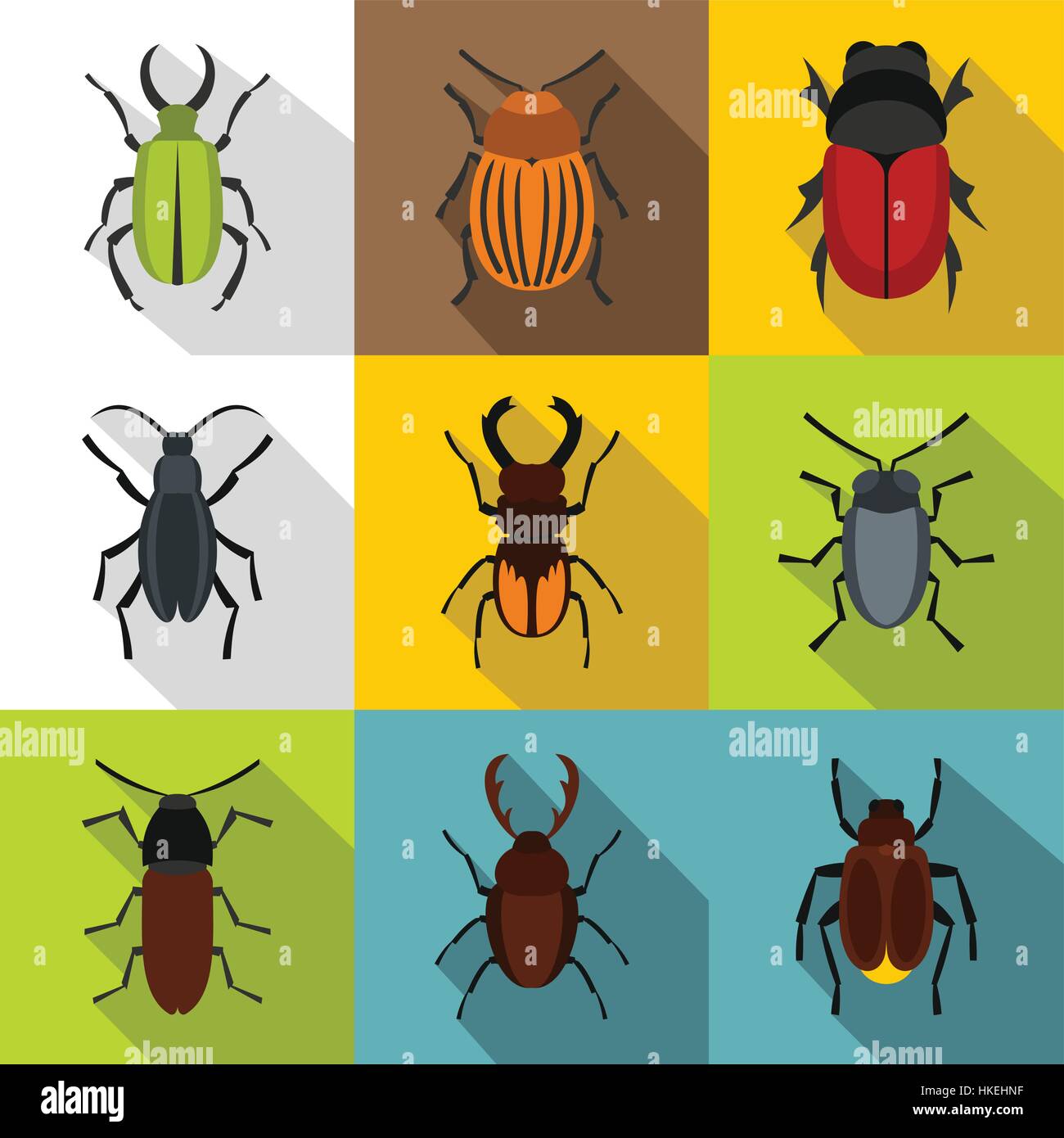 Order coleoptera icons set. Flat illustration of 9 order coleoptera ...