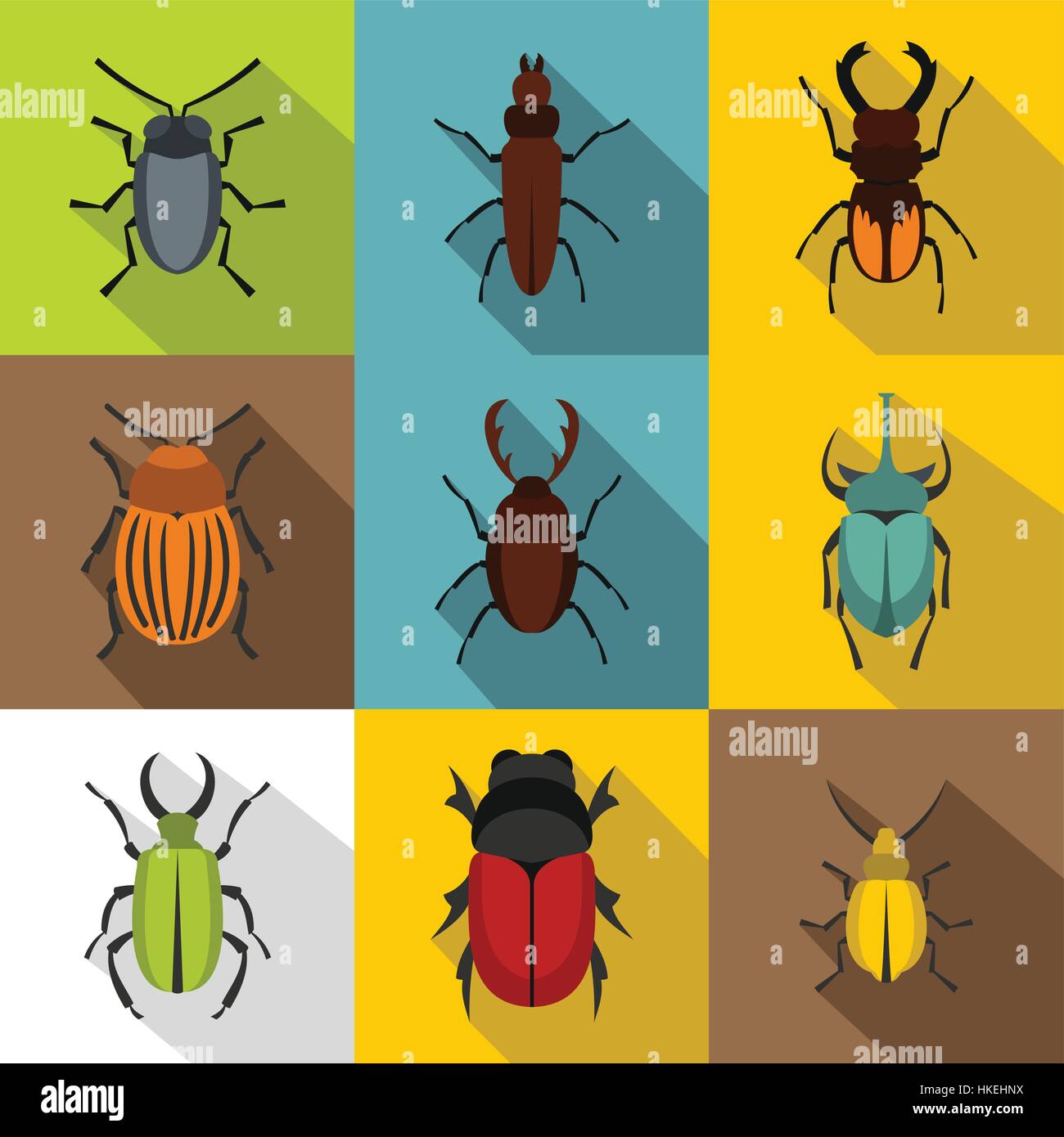 Crawling beetles icons set. Flat illustration of 9 crawling beetles ...