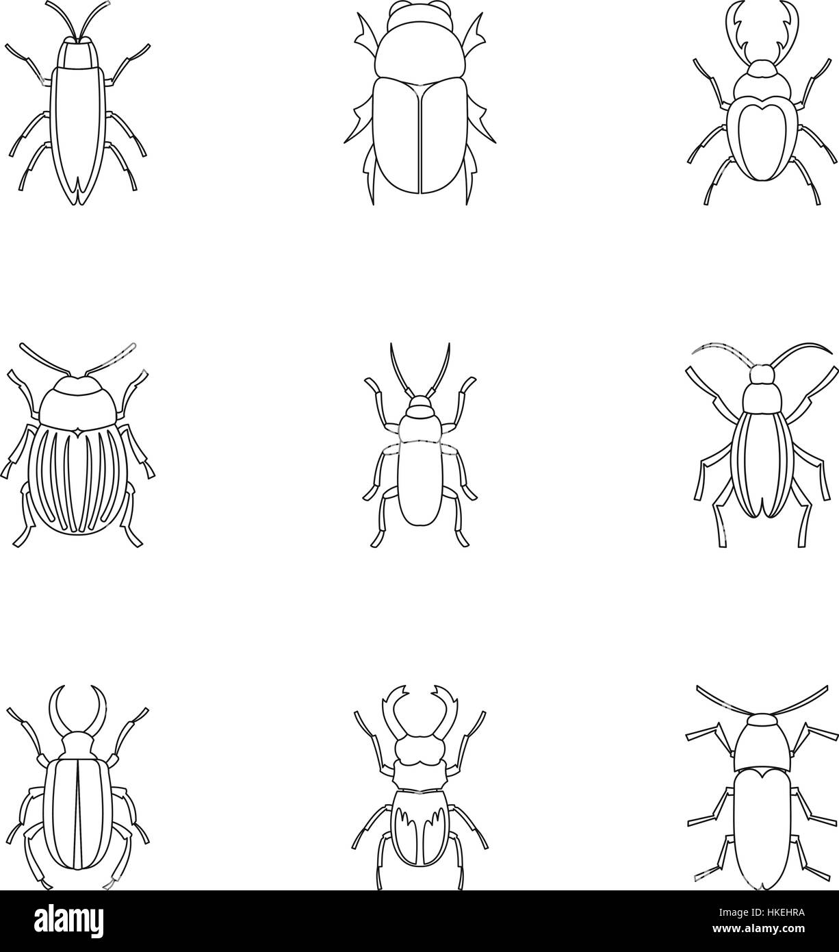 Species of beetles icons set. Outline illustration of 9 species of ...