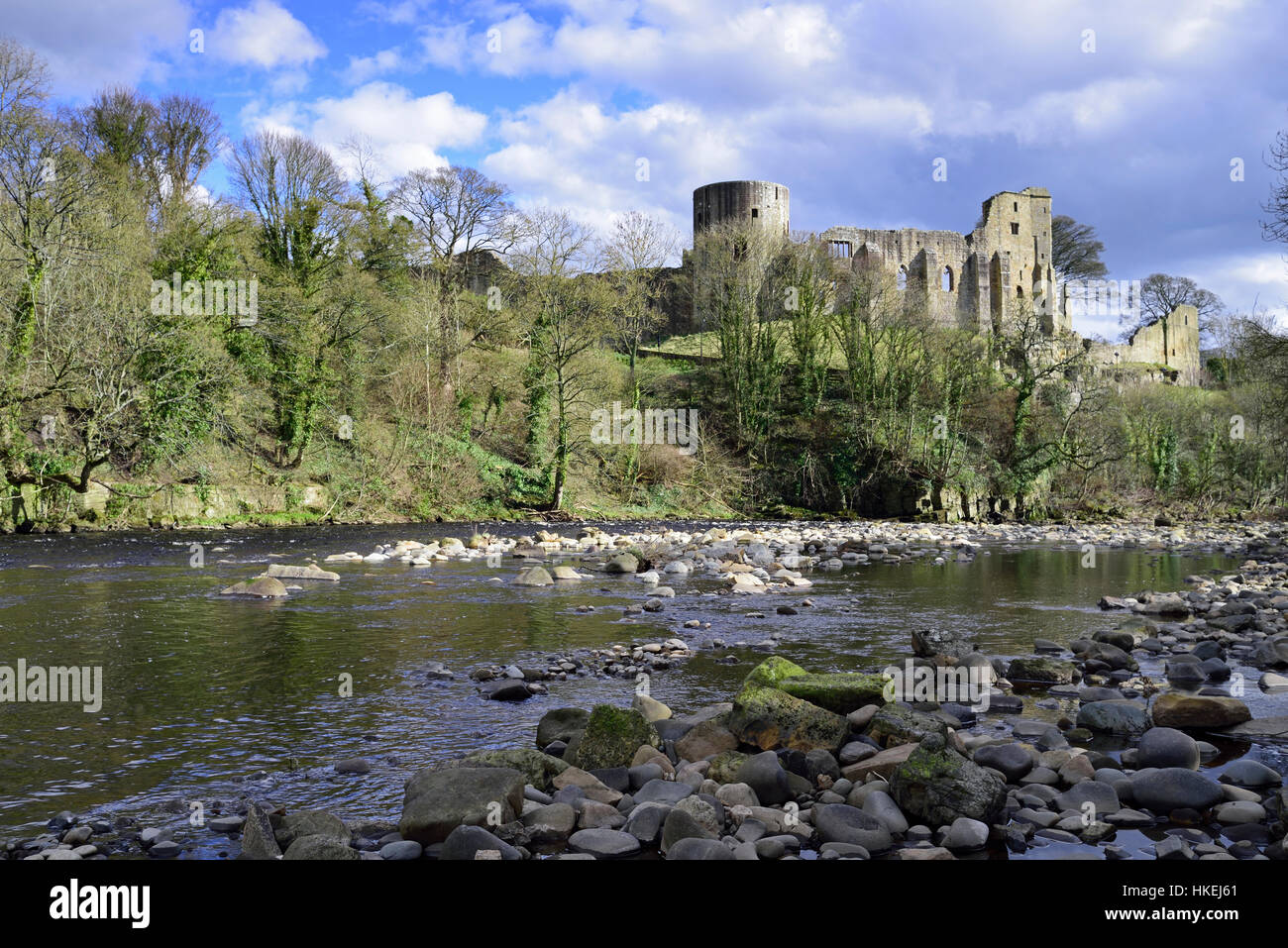 The ruins of the Norman castle at Barnard Castle, seen across the River ...