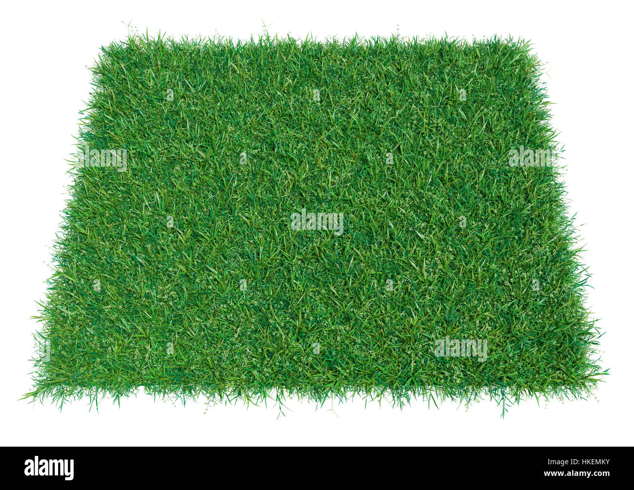 Green grass arena, isolated Stock Photo - Alamy