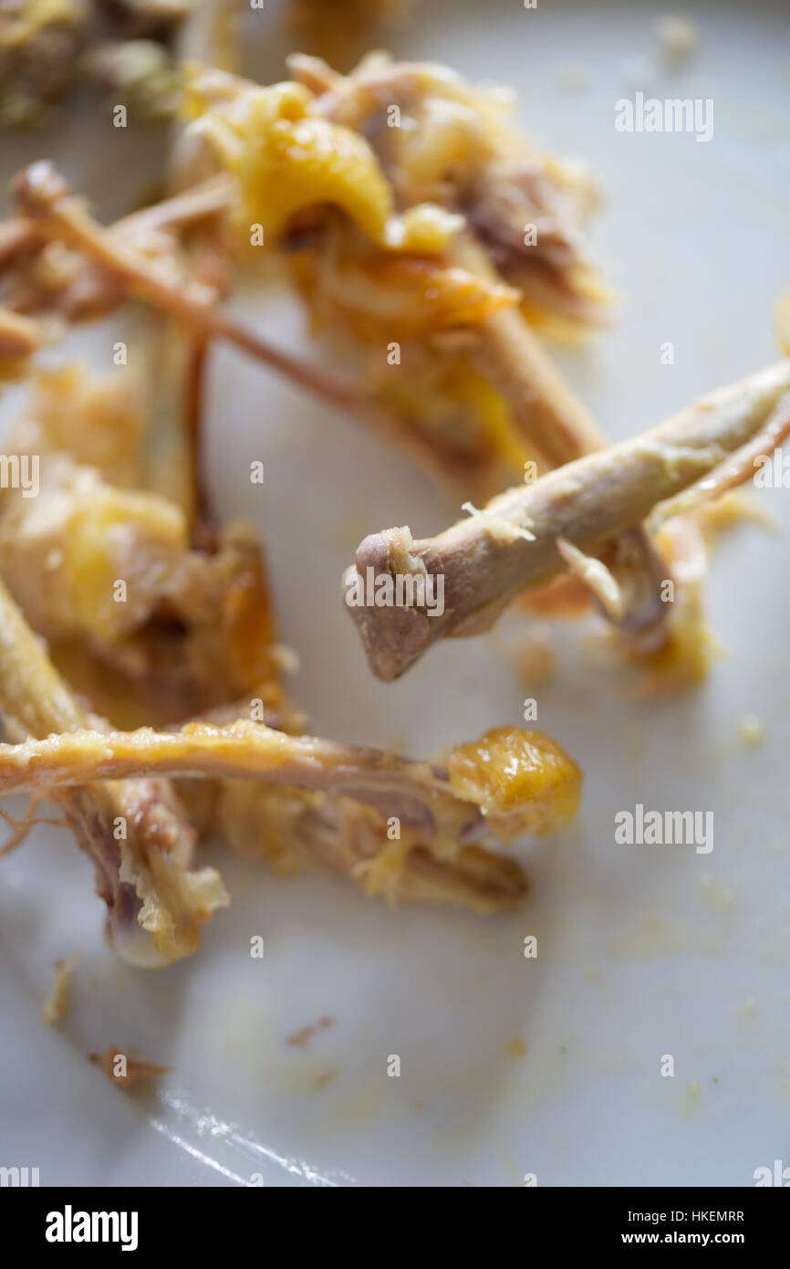 Food Waste Plate Stock Photos & Food Waste Plate Stock Images - Alamy
