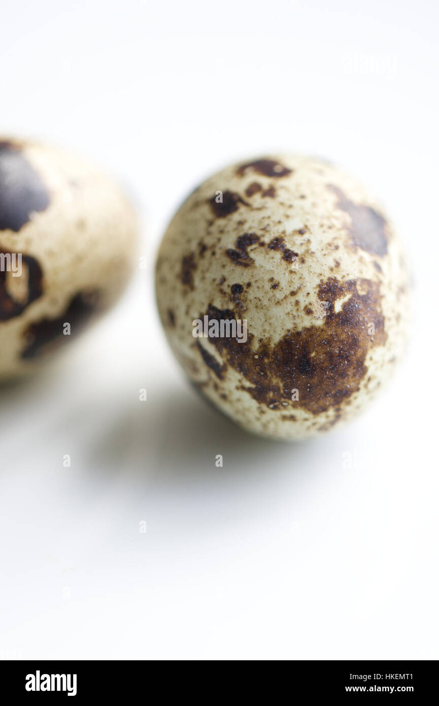 Spotted eggs hi-res stock photography and images - Alamy