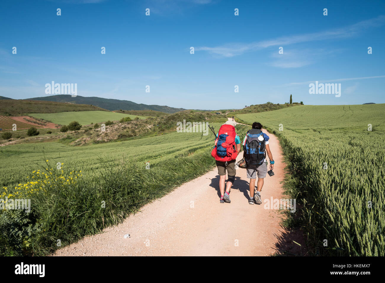 Camino de Santiago pilgrimage route, Way of St James Stock Photo - Alamy