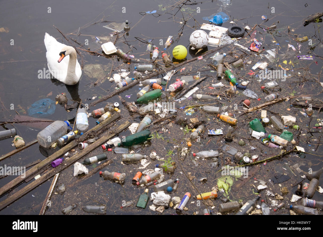 Rubbish In Water Stock Photos & Rubbish In Water Stock Images - Alamy