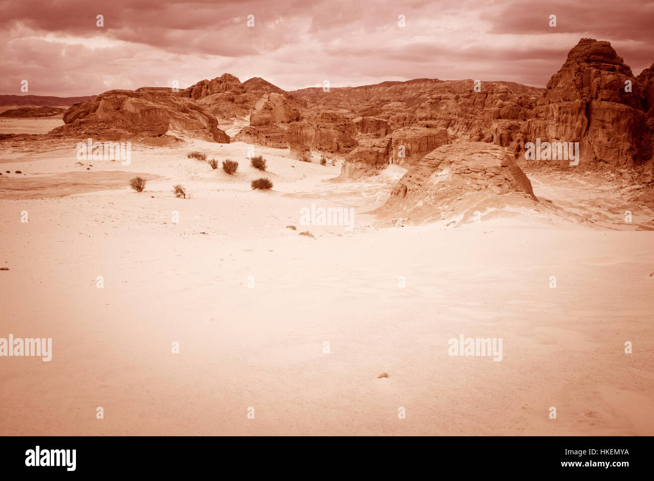 Desert landscape background global warming concept Sinai, Egypt Stock ...