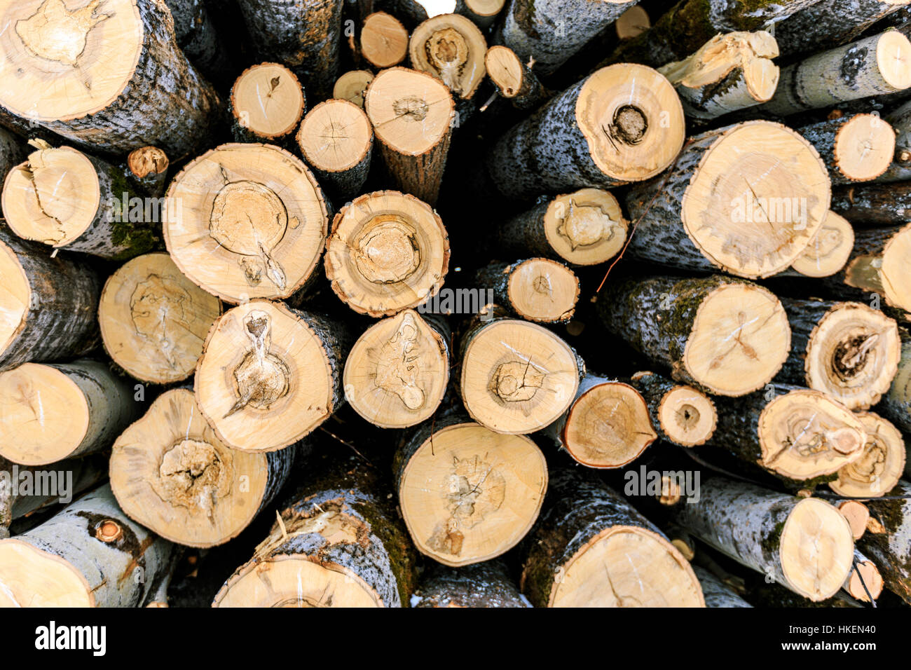 Sawmill house hi-res stock photography and images - Alamy