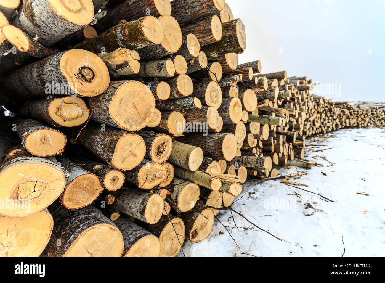 Sawmill house hi-res stock photography and images - Alamy