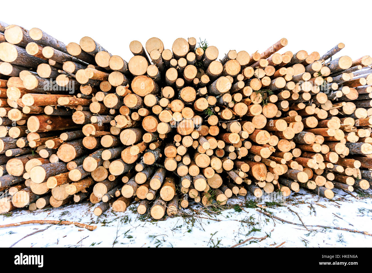 logs closeup, pine logs, russian winter, sawmill, russian sawmill Stock ...