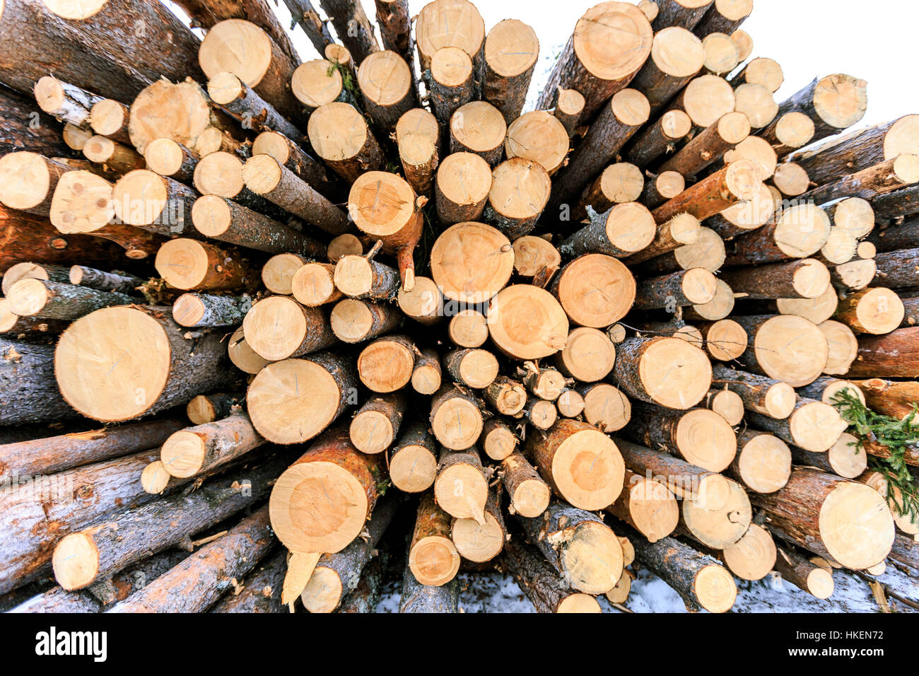 Russian Lumber Industry High Resolution Stock Photography and Images ...