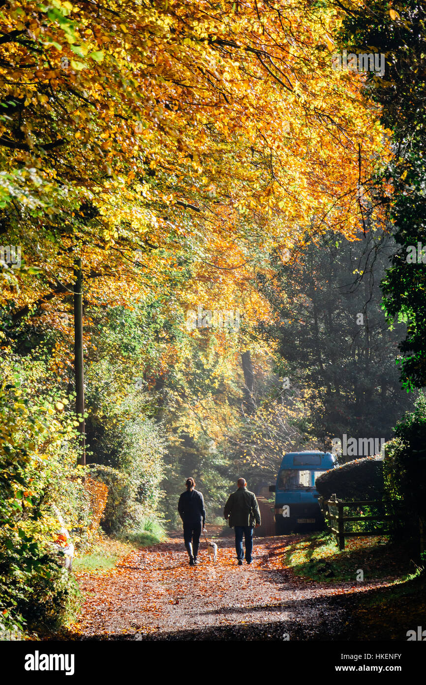 A walk through the English countryside Stock Photo - Alamy