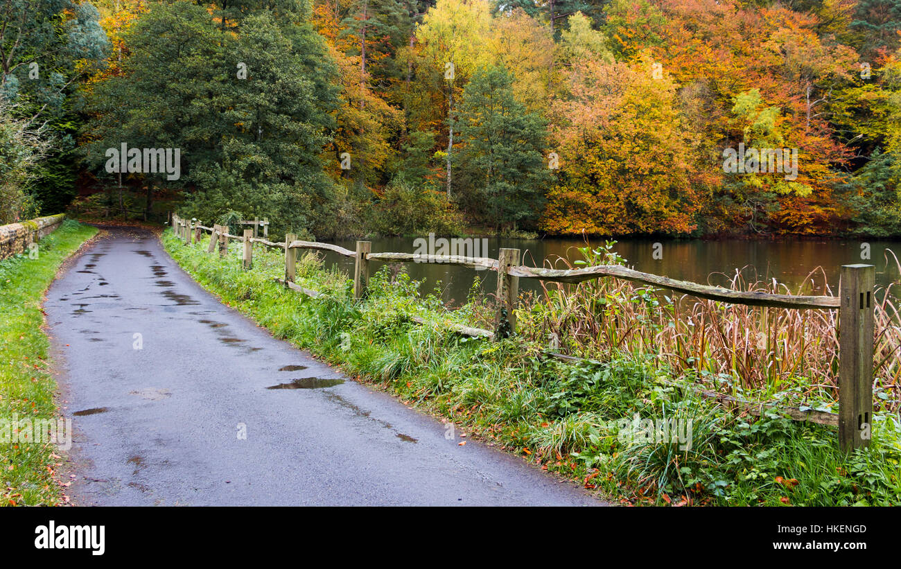 Path along pond in rural England Stock Photo - Alamy