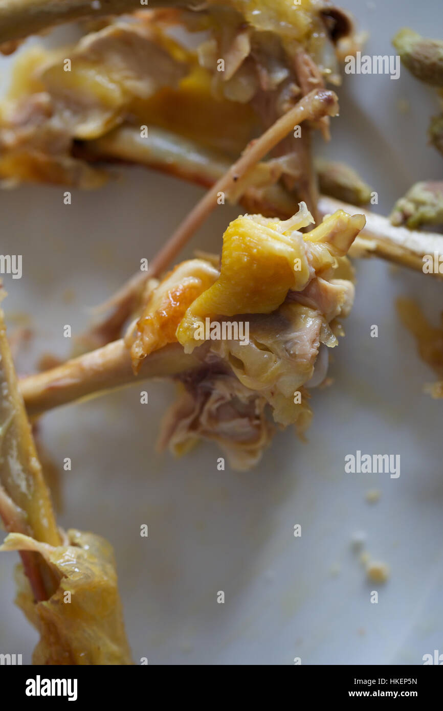 Bone Waste High Resolution Stock Photography and Images - Alamy
