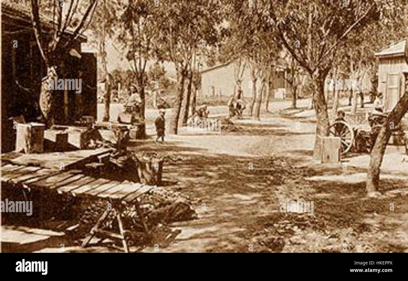 Petach Tikwa is a city in Israel known for its early development in the ...