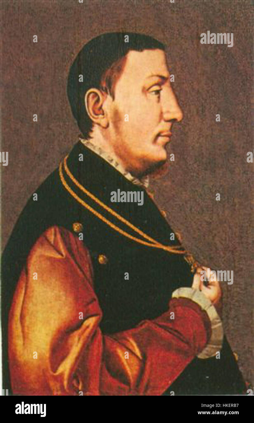 This portrait of René van Chalon captures the nobleman in his full ...